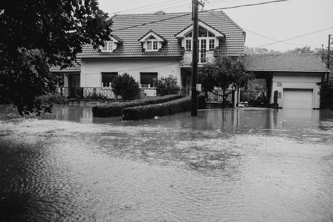 Common Causes of Water Damage in Real Estate Properties